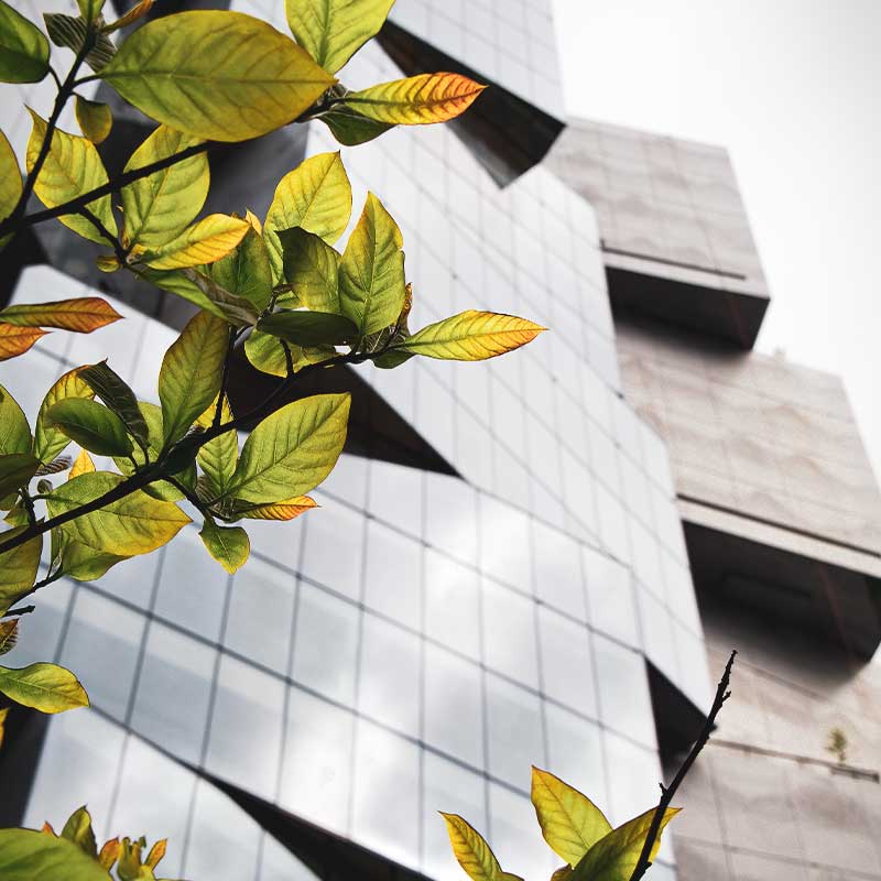 CLIL.KZ — Білім беру платформасы — Образовательная платформа